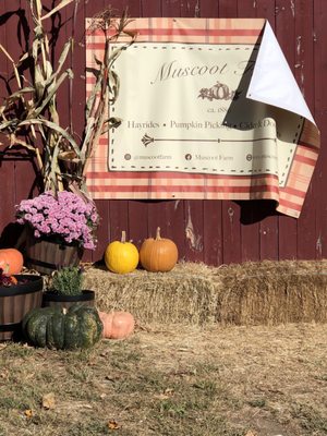 MUSCOOT FARM - Updated December 2025 - 186 Photos & 47 Reviews - 51 Rt ...