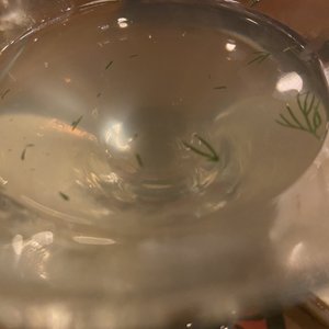 PROTOCOL - 15 Photos & 13 Reviews - 1 E Pleasant St, Amherst ...