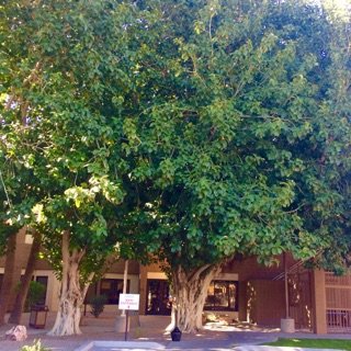 VALLEY HOSPITAL - Updated November 2024 - 38 Photos & 40 Reviews - 3550 ...
