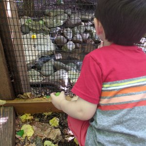 COSLEY ZOO - 242 Photos & 124 Reviews - 1356 N Gary Ave, Wheaton, IL - Yelp