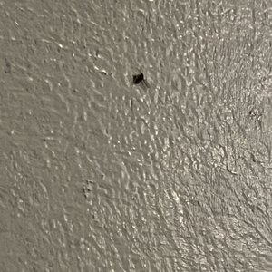 HALULU HIBACHI & SUSHI - 87 Photos & 104 Reviews - 90 US-206, Stanhope ...