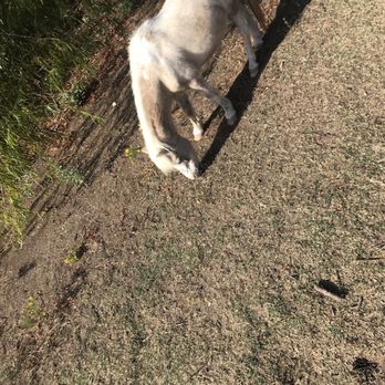 RIVER RANCH TEXAS HORSE PARK - Updated July 2025 - 71 Photos & 26 ...