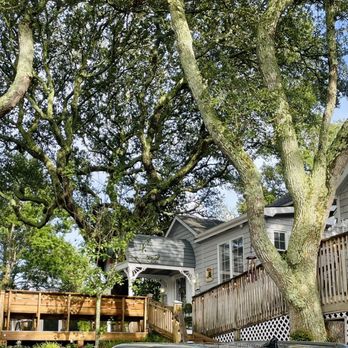 COLINGTON CAFE - Updated May 2024 - 298 Photos & 381 Reviews - 1029 ...