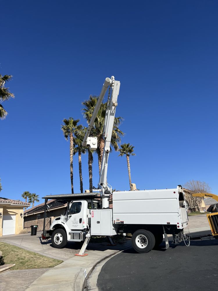 URBAN OAK TREE CARE - Updated December 2025 - Hesperia, California ...