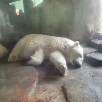 THE TOLEDO ZOO - Updated March 2025 - 998 Photos & 318 Reviews - 2 ...