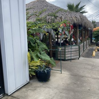 THE TOASTED COCONUT - Updated July 2025 - 1409 Photos & 541 Reviews ...