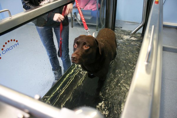 SUNBEAM VETERINARY CLINIC - Updated October 2025 - New mallow road ...