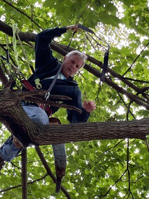 MOORES TREE SERVICE - Updated December 2025 - Newark, Delaware - Tree ...
