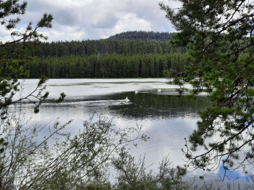 CRANE PRAIRIE RESERVOIR - Updated July 2025 - Bend, Oregon ...
