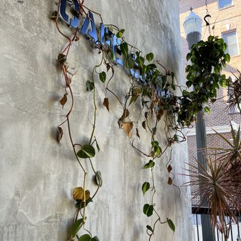 CAFE COMMA - Updated September 2025 - 1794 Photos & 323 Reviews - 3621 ...