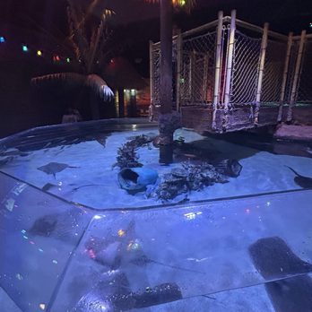 SEA LIFE GRAPEVINE AQUARIUM - Updated October 2025 - 506 Photos & 278 ...