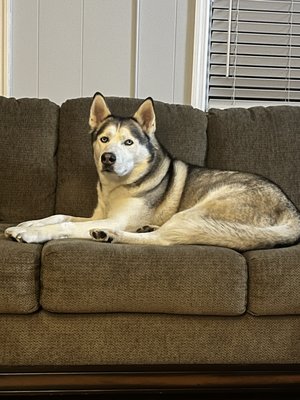 MERCY FULL PROJECT - Updated November 2025 - 31 Photos & 26 Reviews ...