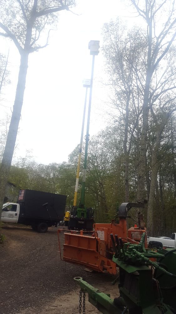 NINJA TREE SERVICE - Updated September 2025 - 6 Finn Rd, Canterbury ...