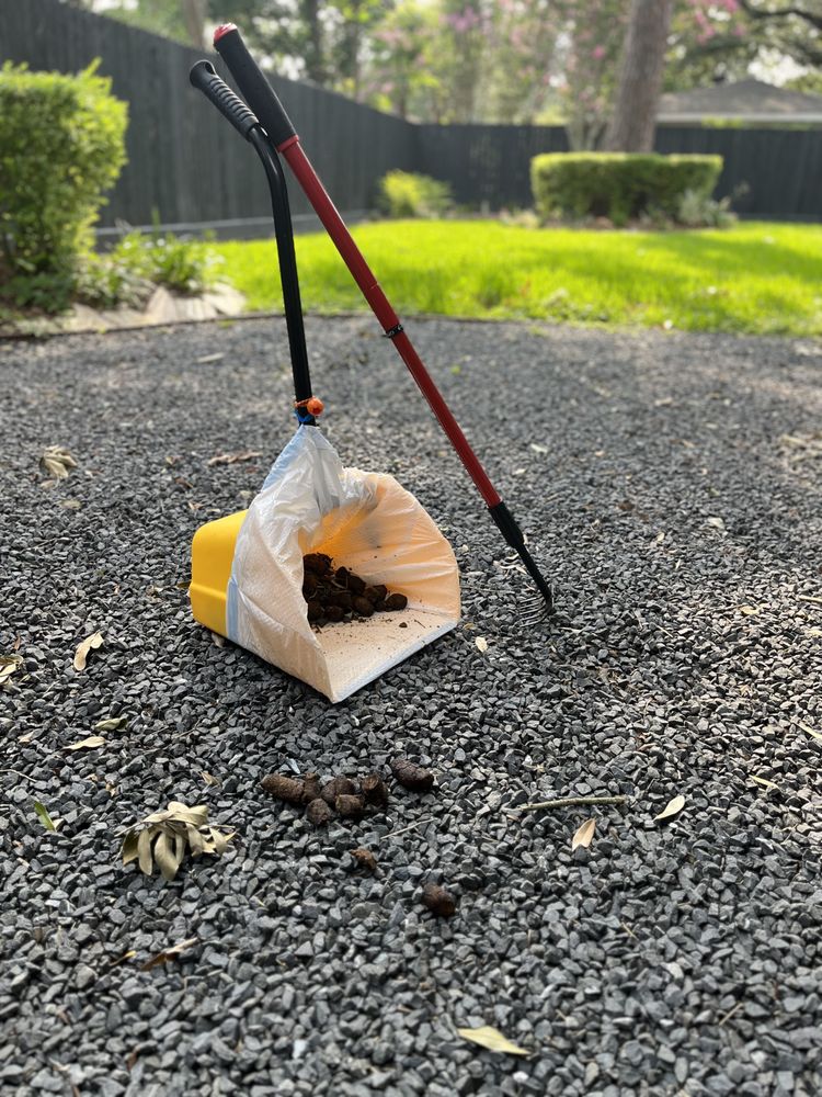 STEP EASY DOG WASTE REMOVAL - Updated October 2025 - 14 Photos ...