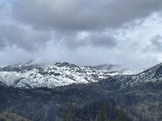 FRISCO LIMO - Updated July 2024 - 75 Photos & 226 Reviews - 611 Folsom ...