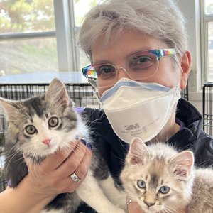 THE RUSTY PONY RANCH AND COMPANION ANIMAL RESCUE & SANCTUARY - Updated ...