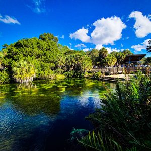 PHILIPPE PARK - 292 Photos & 94 Reviews - 2525 Philippe Pkwy, Safety ...