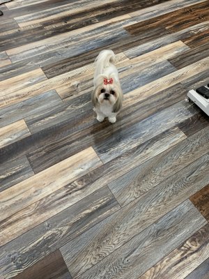 WAGS - Updated December 2025 - 43 Photos & 34 Reviews - 135 Southwest ...