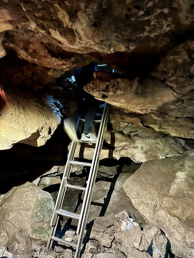 WHIRLPOOL CAVE PRESERVE - Updated January 2026 - 15 Photos - Brush ...