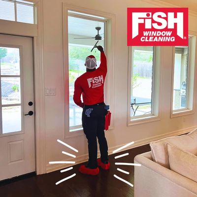 FISH WINDOW CLEANING - Updated October 2025 - 145 Photos & 10 Reviews ...
