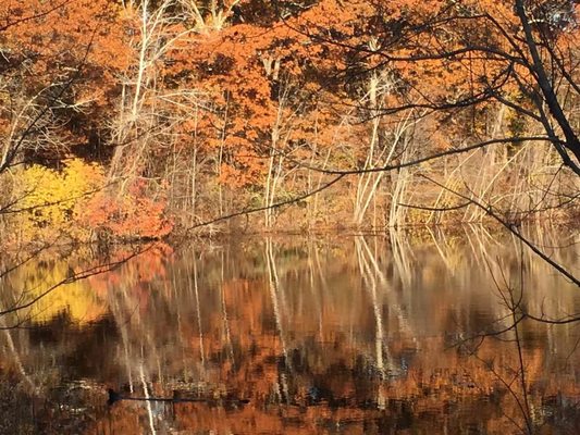 BEAVER BROOK RESERVATION - Updated May 2024 - 59 Photos & 46 Reviews ...