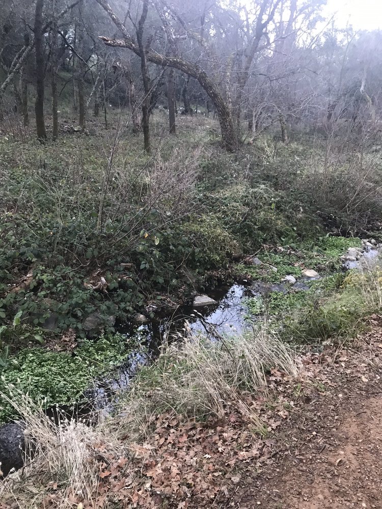 DRAGOON GULCH - 40 Photos & 12 Reviews - 92-96 N Forest Rd, Sonora ...