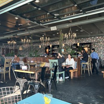 FINCH - Updated March 2025 - 1039 Photos & 811 Reviews - 32395 Clinton ...