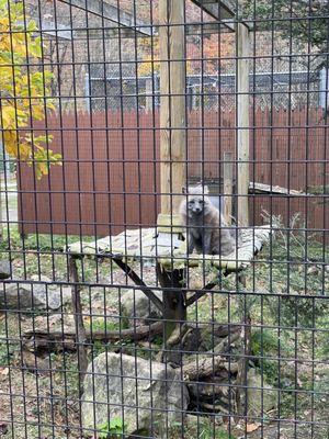 LEHIGH VALLEY ZOO - Updated December 2025 - 116 Photos & 65 Reviews ...