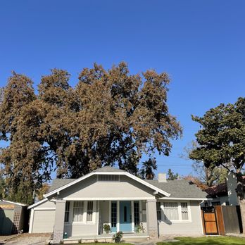 GALVAN TREE SERVICE - Updated July 2025 - 160 Photos & 41 Reviews ...