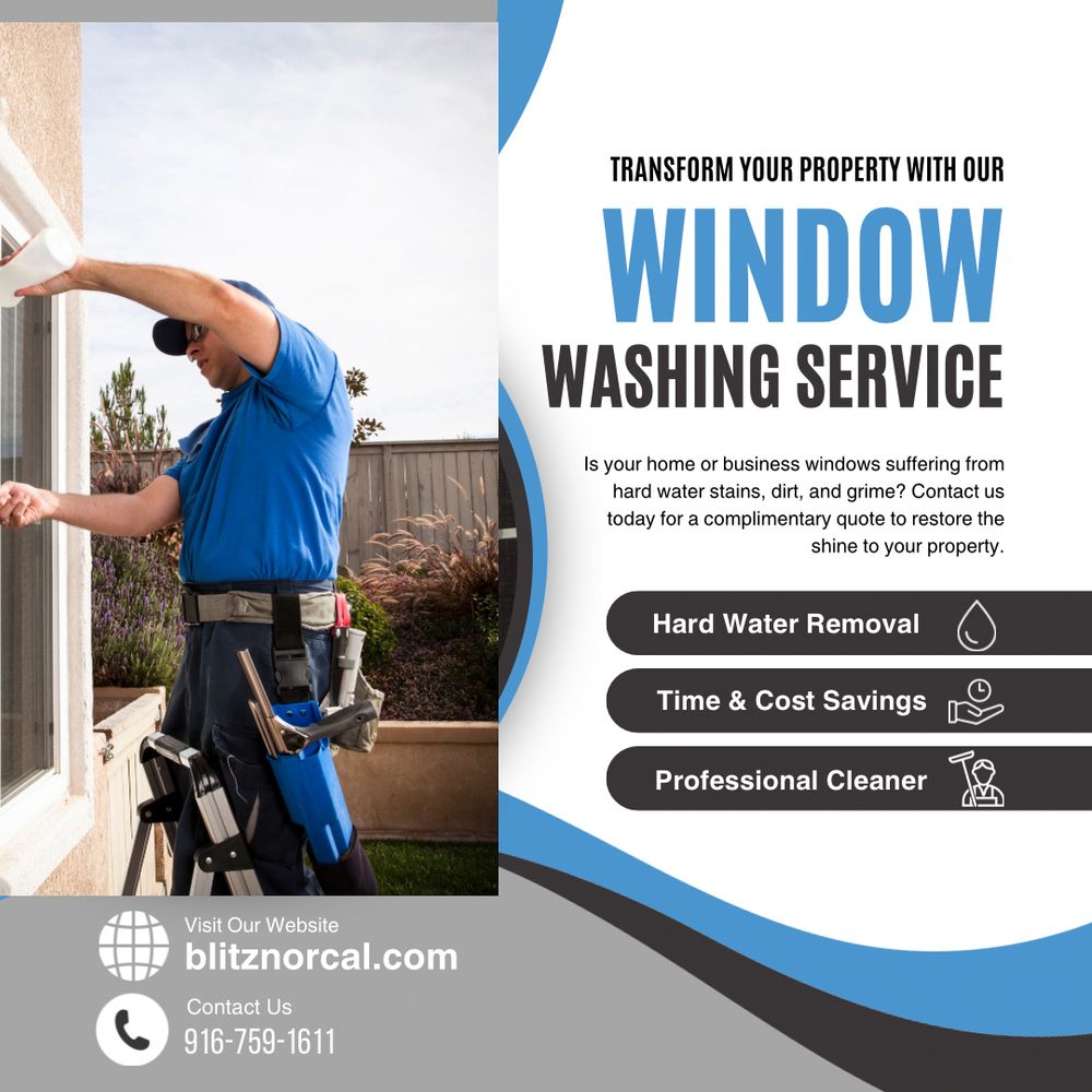 BLITZ PROFESSIONAL SERVICES - Updated January 2026 - 15 Photos ...
