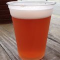 APOCALYPSE BREW WORKS - 119 Photos & 96 Reviews - 1612 Mellwood ...