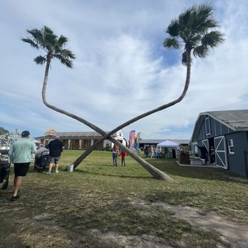 SCARS FARM - Updated December 2025 - 14 Photos - 777 Alturas Rd, Bartow ...