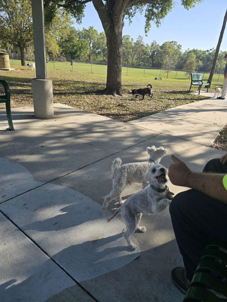 MANGO DOG PARK - Updated January 2026 - 26 Photos & 34 Reviews - 11717 ...