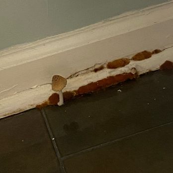 REDPOINT COLUMBIA - Updated September 2024 - 91 Photos & 104 Reviews ...