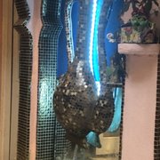 SETAARA AFGHAN AND FRENCH CUISINE - 230 Photos & 103 Reviews - 2322 ...