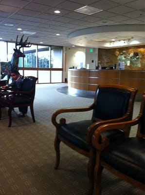 NORTHWEST VISION INSTITUTE - Updated January 2026 - 23 Photos & 66 ...