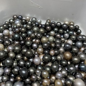 ALOHA PEARLS - Updated November 2024 - 79 Photos & 35 Reviews - 49-227A ...