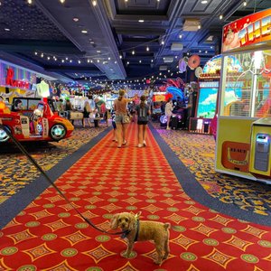 LUCKY SNAKE ARCADE & SPORTS BAR AT SHOWBOAT - 76 Photos & 56 Reviews ...