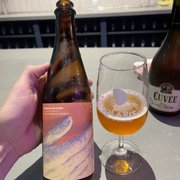 SOLARIS BEER & BLENDING - 138 Photos & 31 Reviews - 41601B Cherry St ...