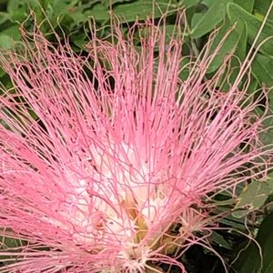 GOODLET PARK - Updated August 2025 - 4200 W 8th Ave, Hialeah, Florida ...