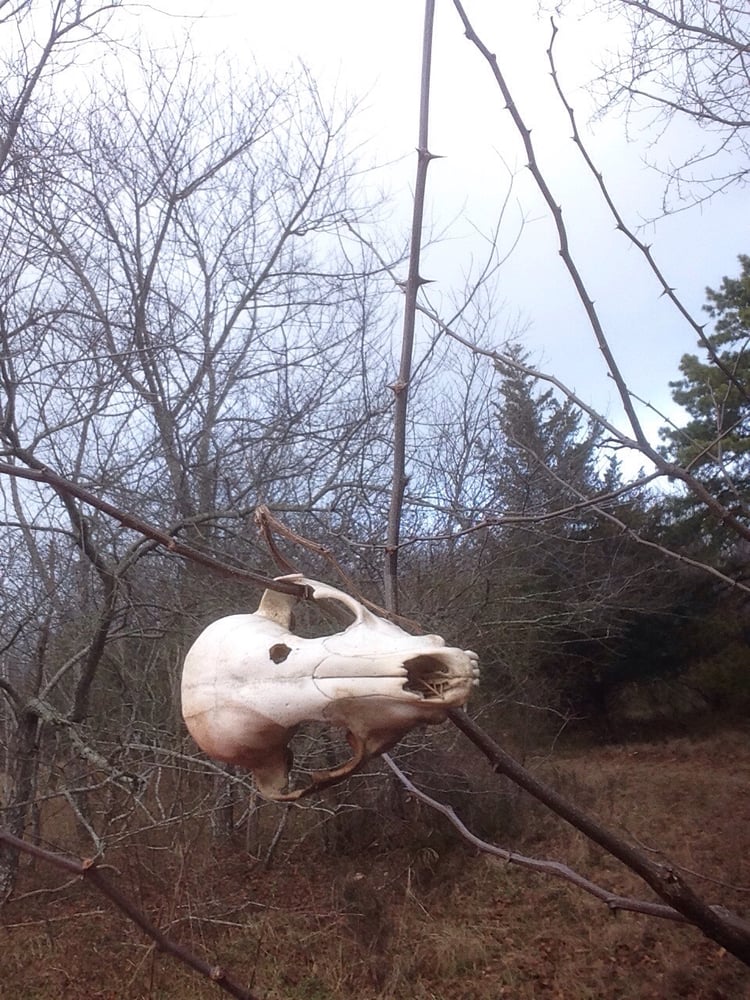 SOUND AVENUE NATURE PRESERVE - Updated November 2025 - 3092-3128 Sound ...