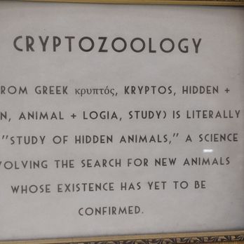 INTERNATIONAL CRYPTOZOOLOGY MUSEUM - Updated August 2025 - 263 Photos ...