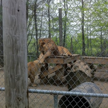 DEW HAVEN - Updated January 2026 - 79 Photos & 20 Real Reviews - 918 ...