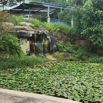 AUSTIN NATURE & SCIENCE CENTER - Updated December 2025 - 235 Photos ...