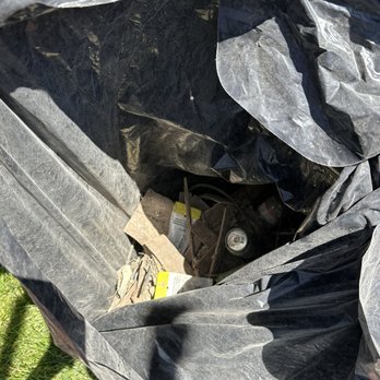 ASAP RODENT SOLUTIONS - Updated February 2025 - 148 Photos & 131 ...