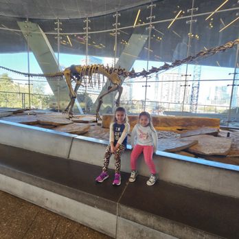 PEROT MUSEUM OF NATURE AND SCIENCE - Updated August 2025 - 2463 Photos ...