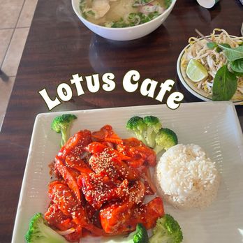LOTUS CAFE - Updated October 2025 - 177 Photos & 293 Reviews - 4261 W ...