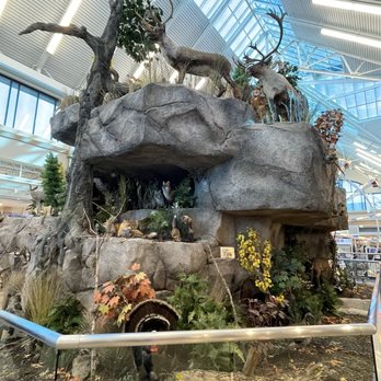 SCHEELS - Updated October 2025 - 133 Photos & 26 Reviews - 6929 S ...