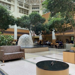 YALE-NEW HAVEN HOSPITAL - 68 Photos & 122 Reviews - 20 York St, New ...