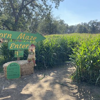 LITTLE FIELD FARMS - Updated October 2024 - 20 Photos - 9000 Horseshoe ...